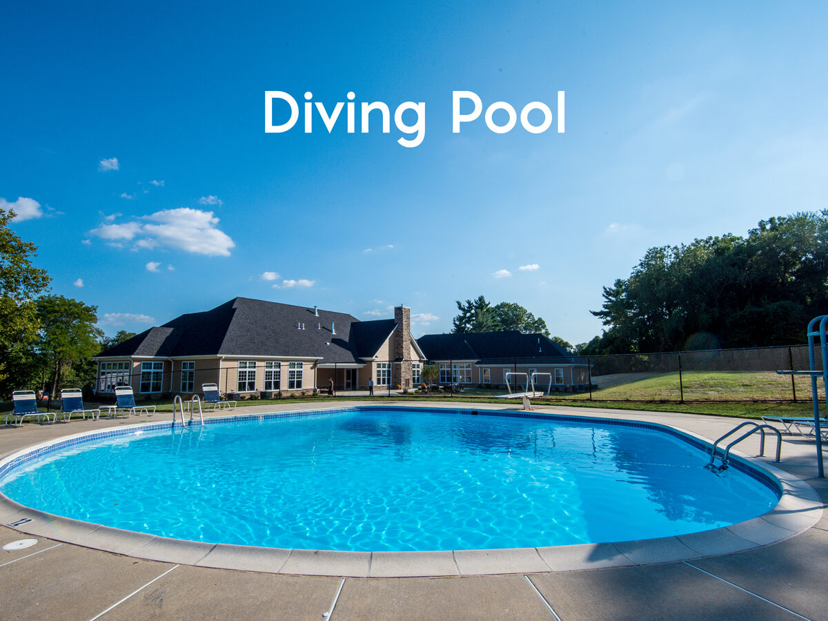 Ashbourne Swim Club | Private Swim Club in Elkins Park, PA
